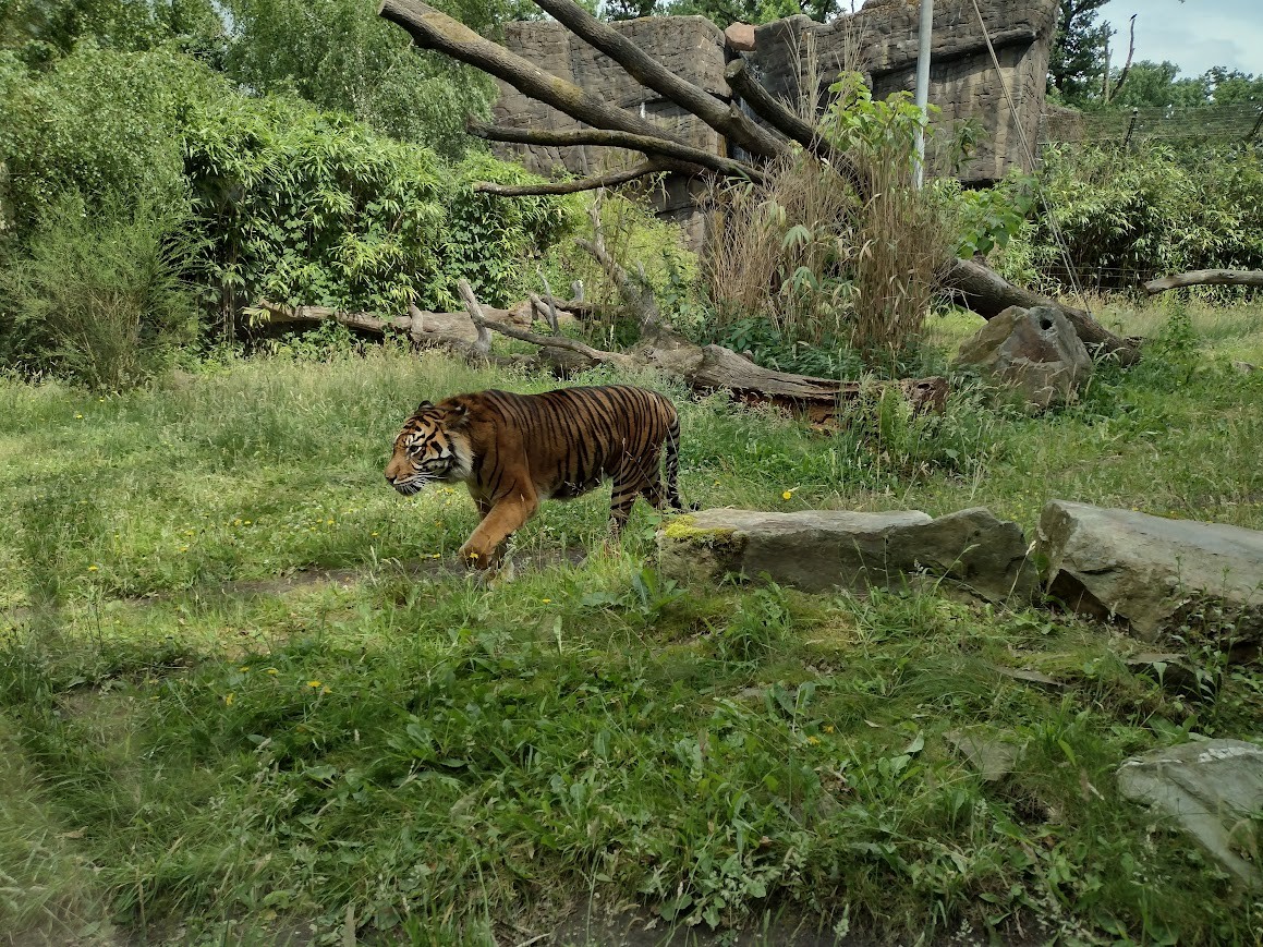 Show and Tell | Alveus Sanctuary